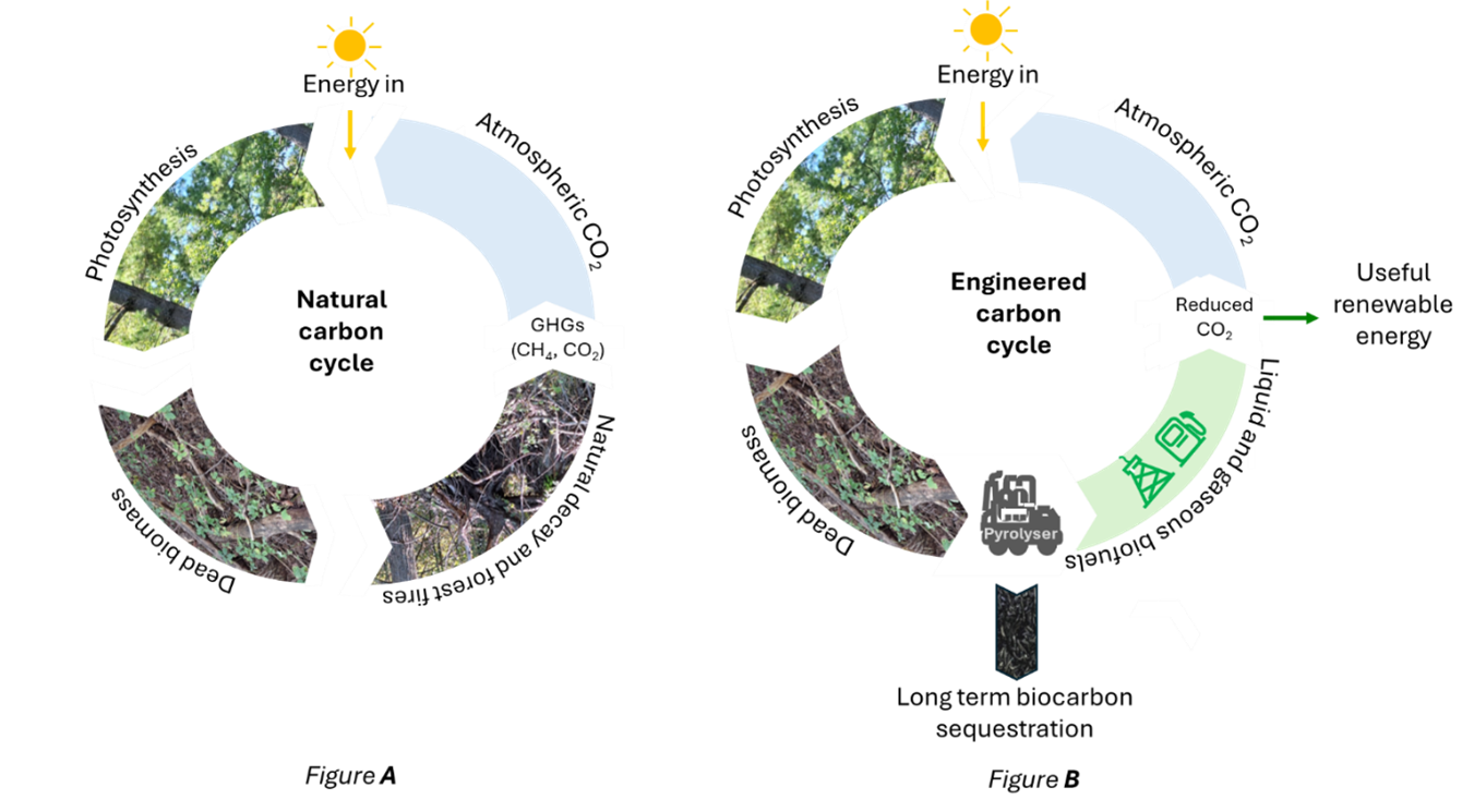 Integrated Biocarbon Sequestration Pathways for Negative Emission ...